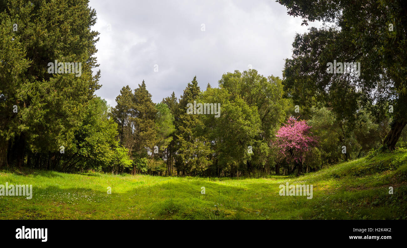 Mon repos corfu hi-res stock photography and images - Alamy