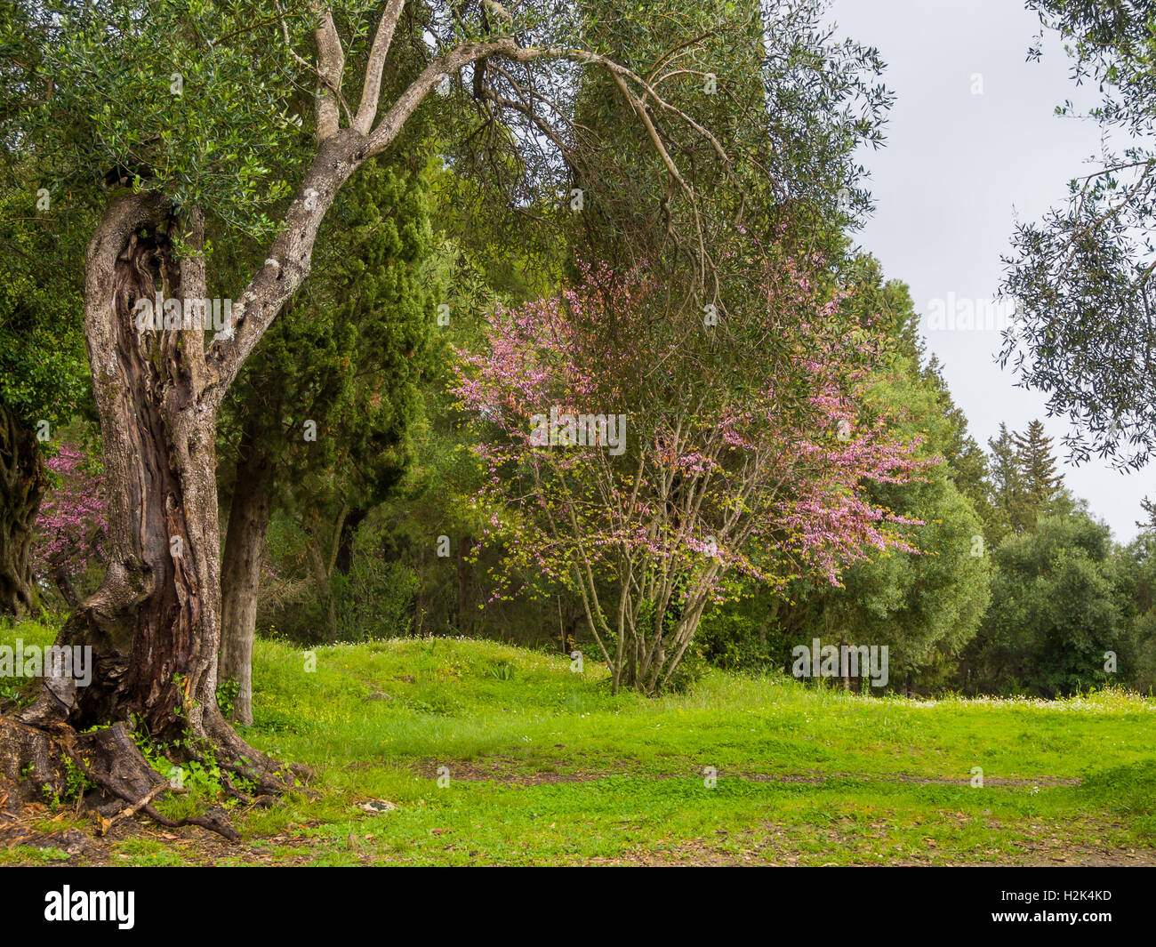 Mon repos park hi-res stock photography and images - Alamy