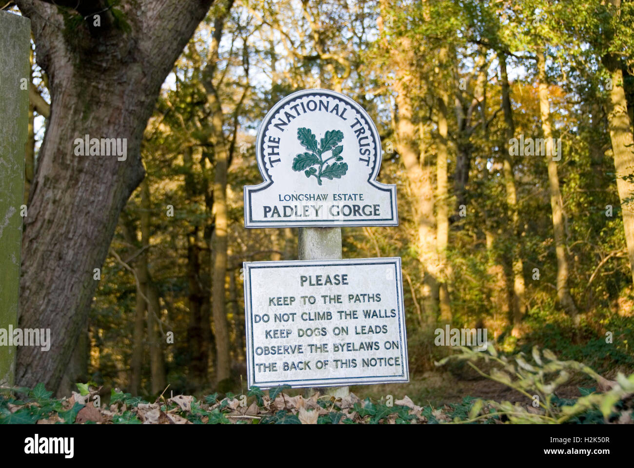 Longshaw estate national trust hi-res stock photography and images - Alamy
