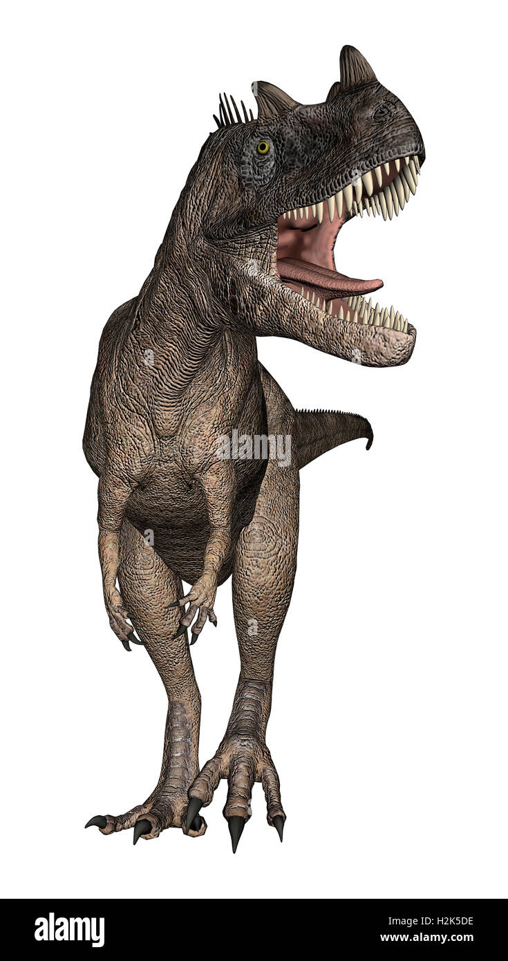 3D rendering of a dinosaur Ceratosaurus isolated on white background ...