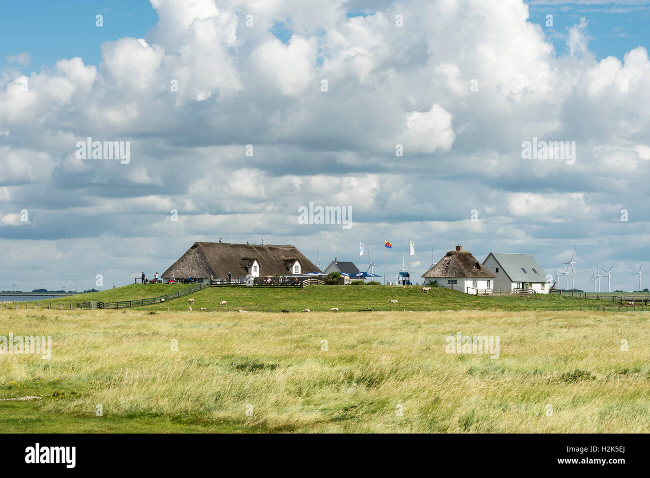 Hamburger Hallig, Wadden Sea National Park, UNESCO World Heritage Site ...
