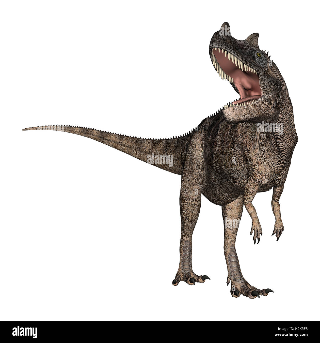 3D rendering of a dinosaur Ceratosaurus isolated on white background ...