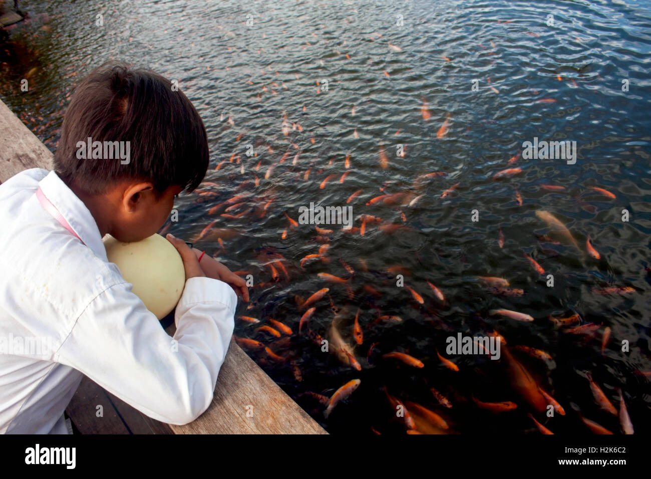 A young boy is looking at goldfish swimming in a pond at an amusement ...