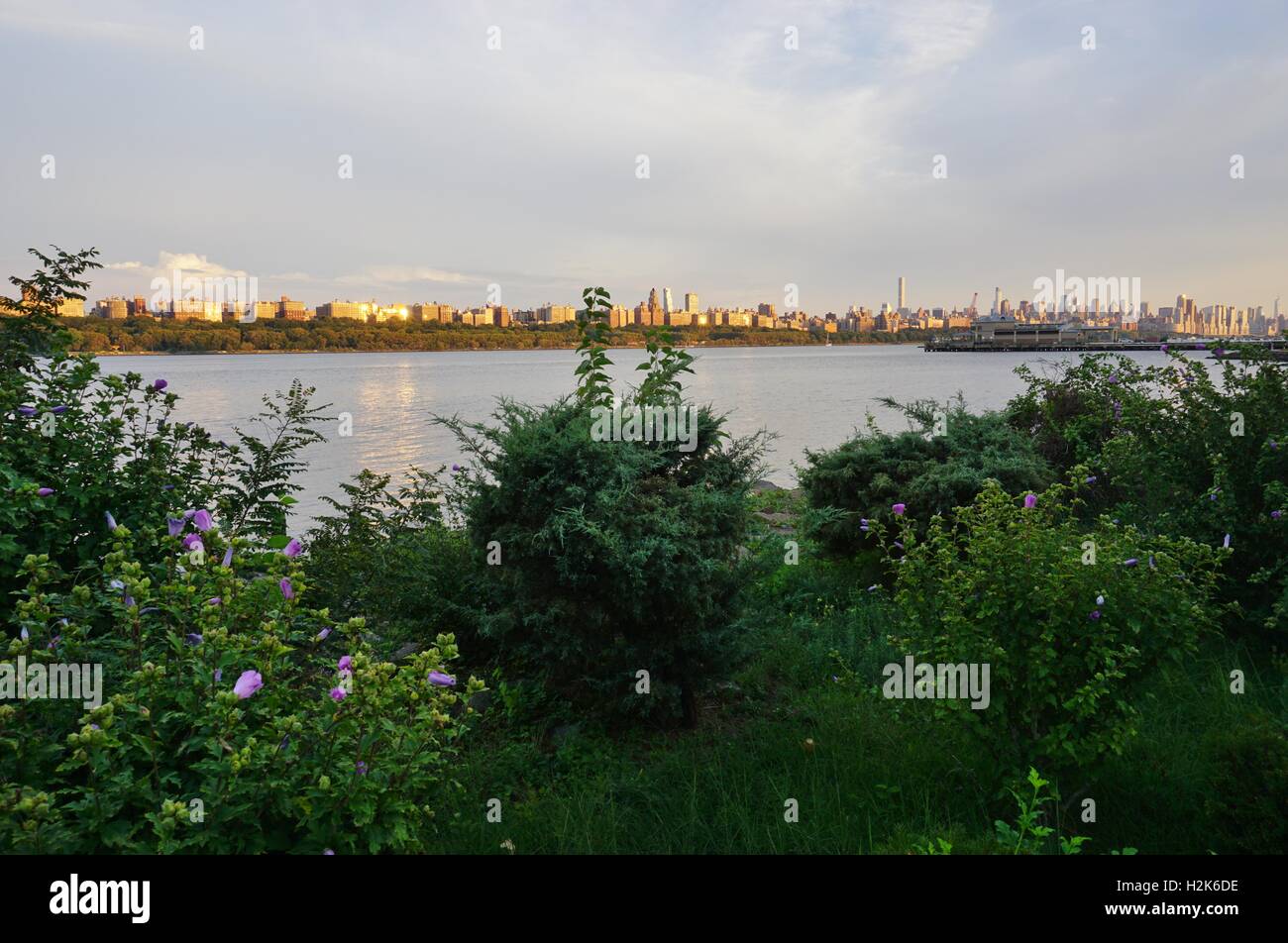 Nyc view hi-res stock photography and images - Alamy