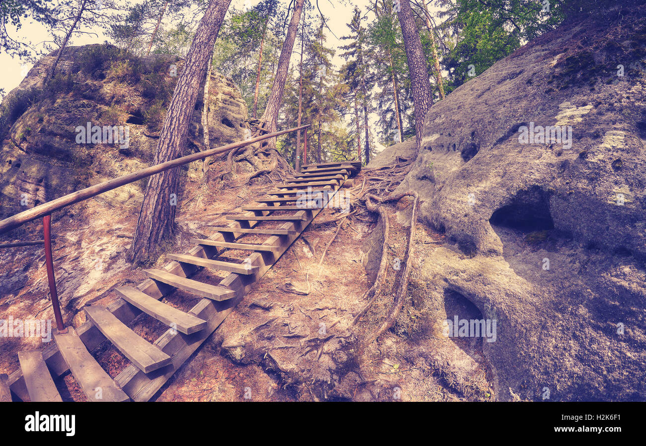 Wooden rock ladder hi-res stock photography and images - Alamy