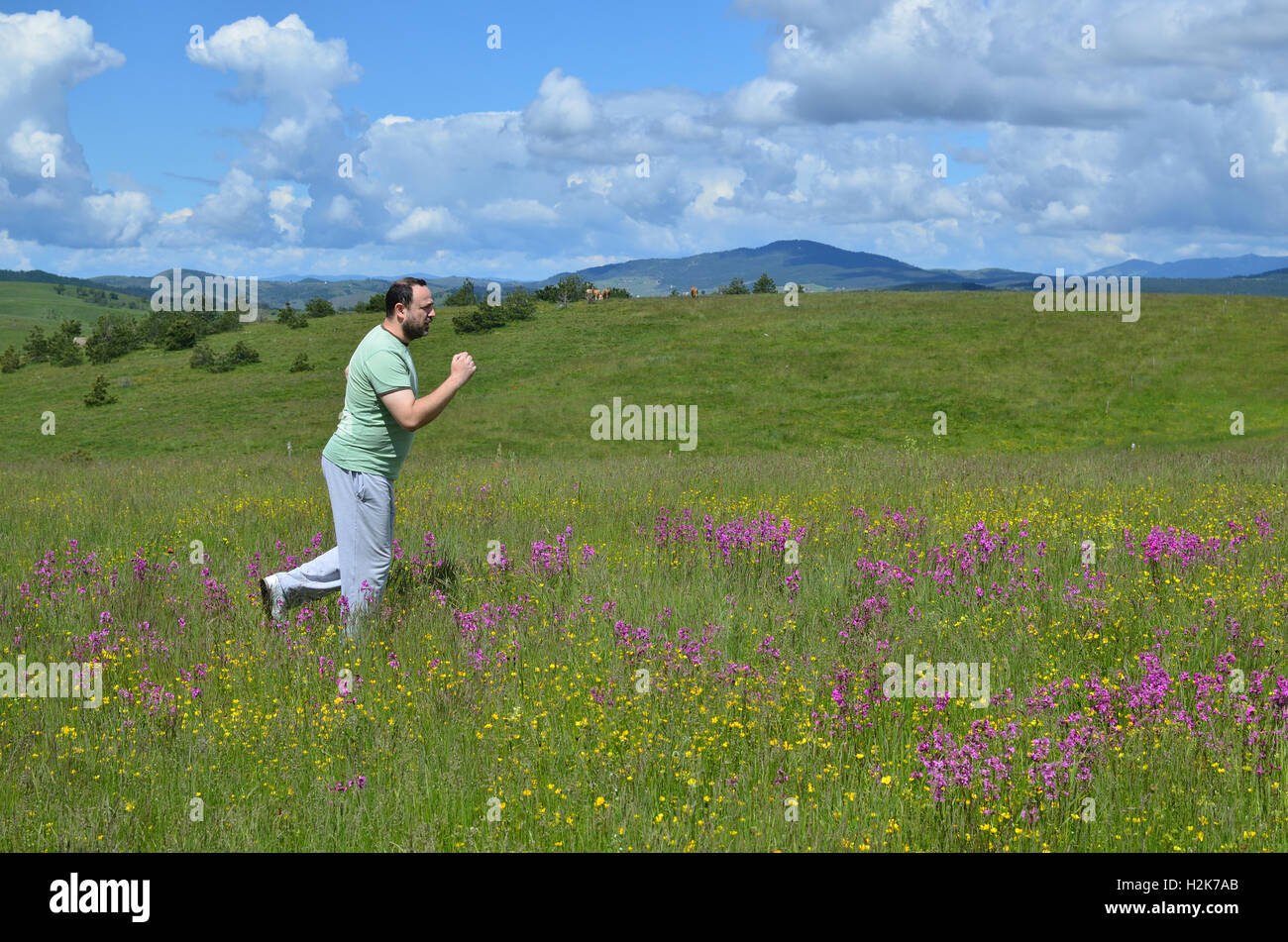 Man running in a meadow with wildflowers and with hills in background ...