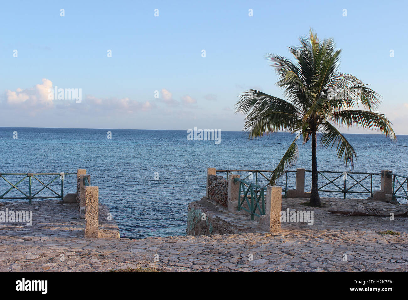 Palm trees cuba Stock Photo - Alamy