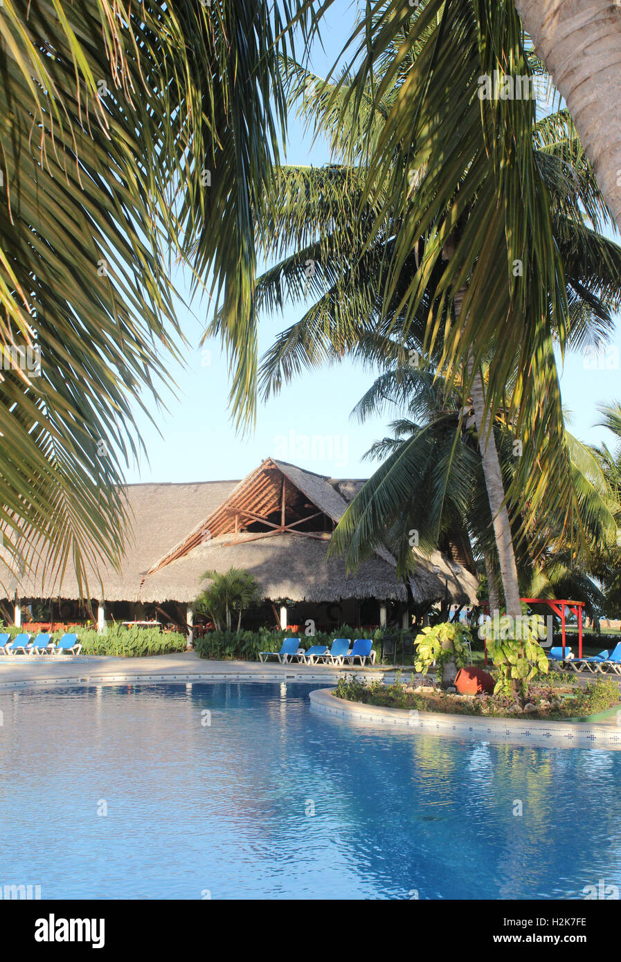 swimming pool with palm trees Stock Photo - Alamy