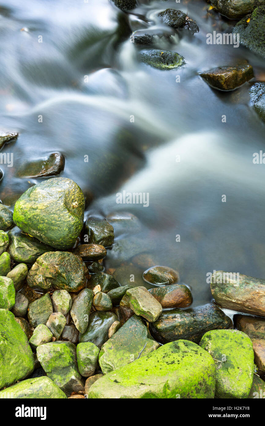 Slow exposure showing movement in water in flowing stream and mossy ...