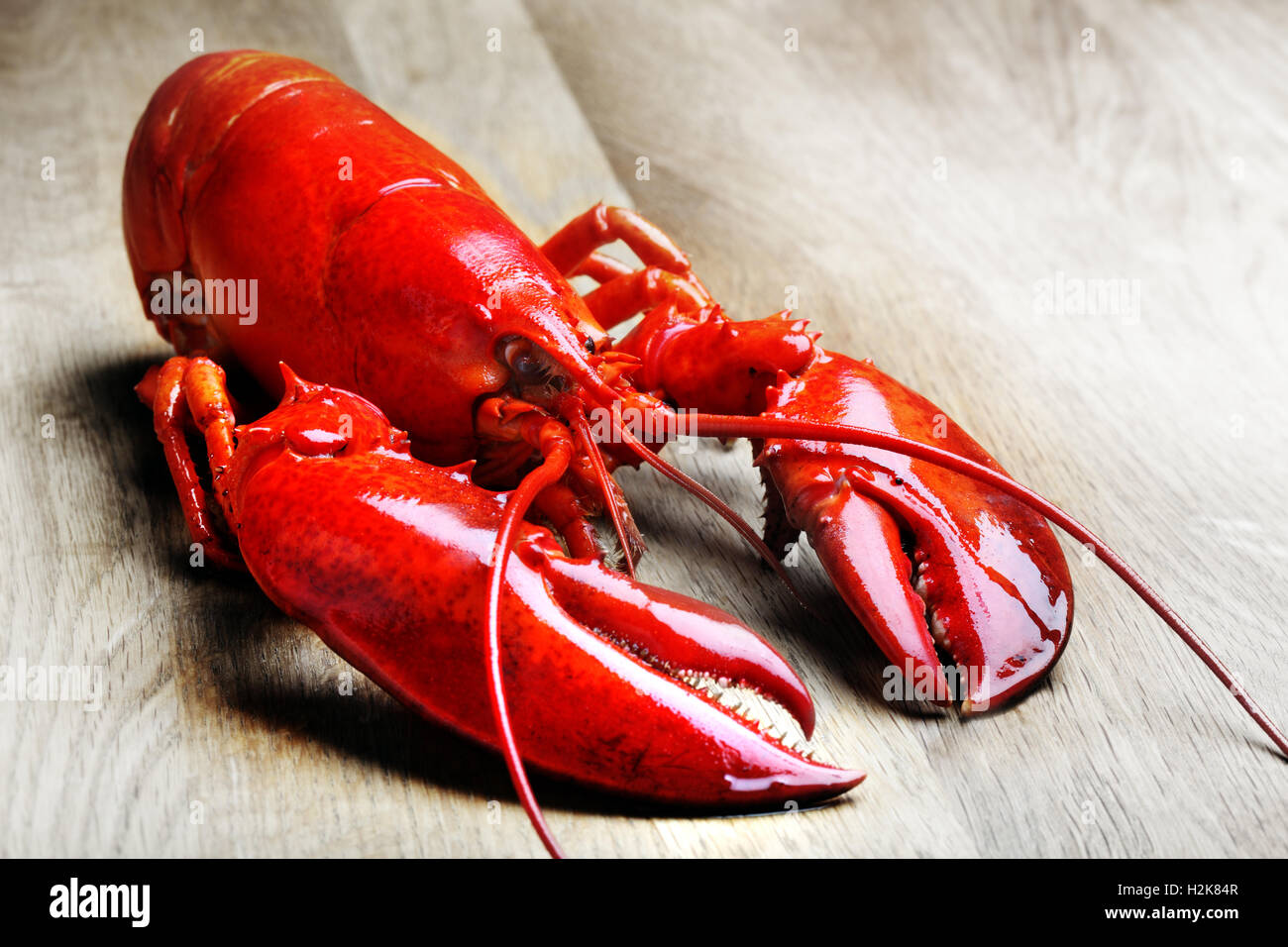 Cooked red lobster hi-res stock photography and images - Alamy