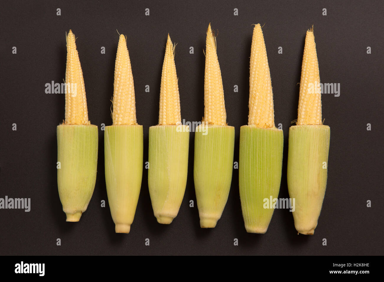 Row of fresh baby corn Stock Photo - Alamy