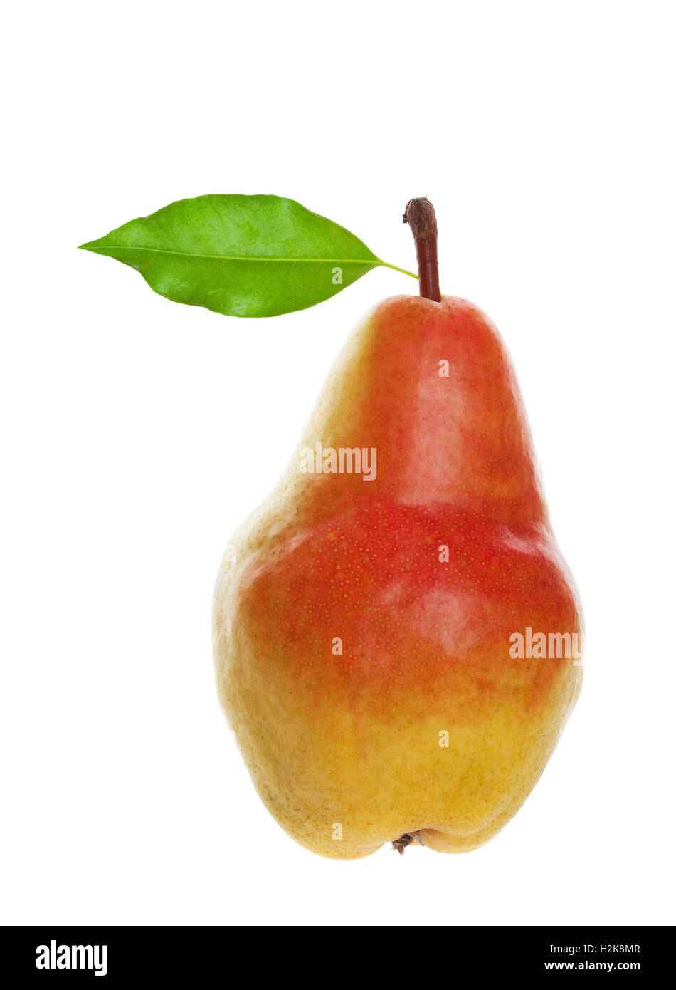 Beautiful Fresh Pear Stock Photo - Alamy
