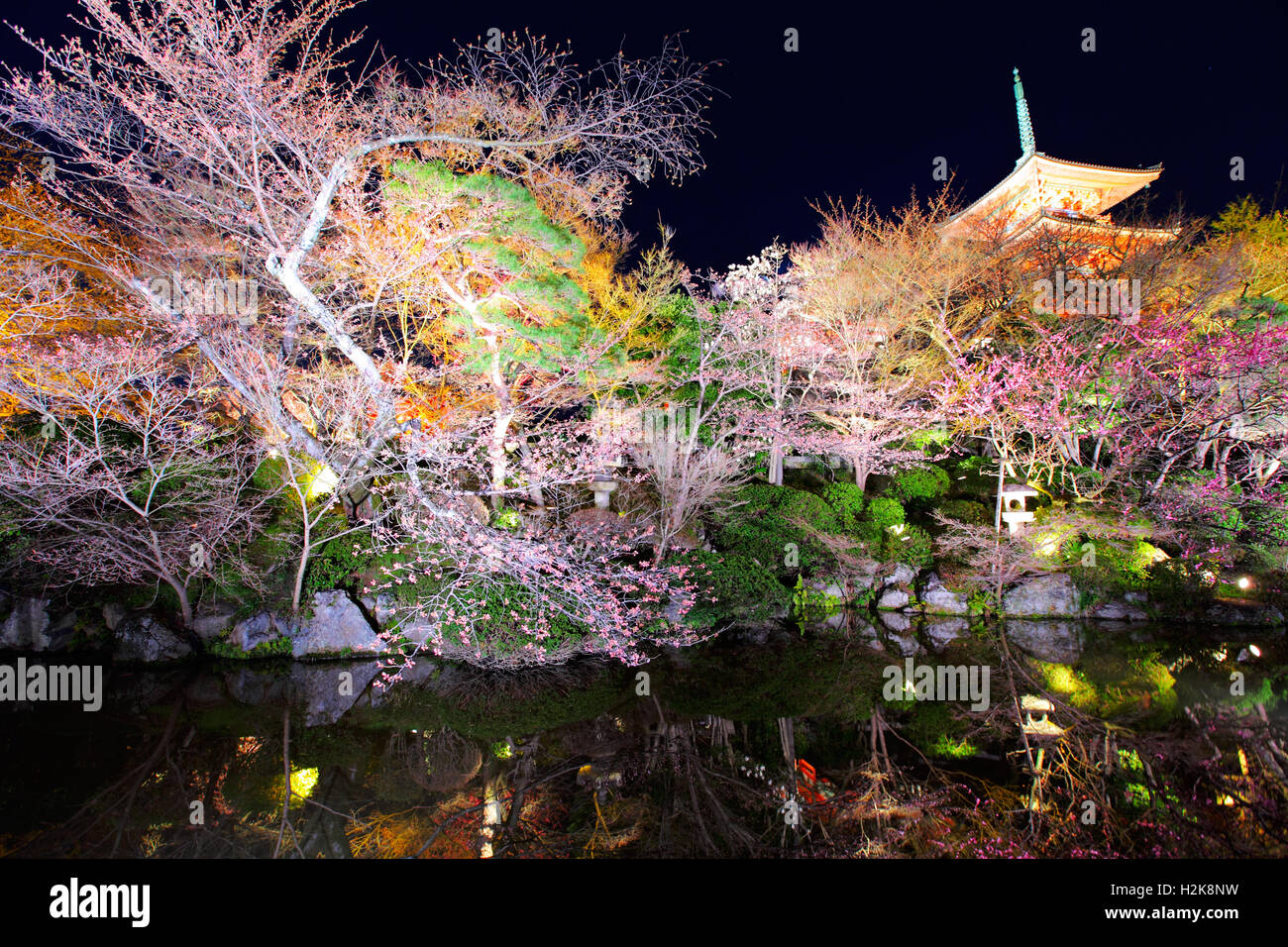 Japanese temple with sakura at night Stock Photo - Alamy