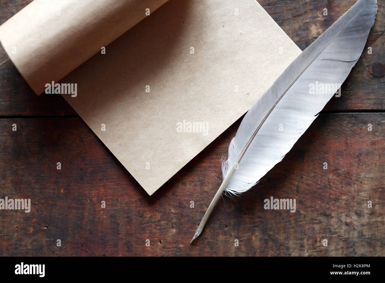 Quill And Scroll Stock Photo - Alamy