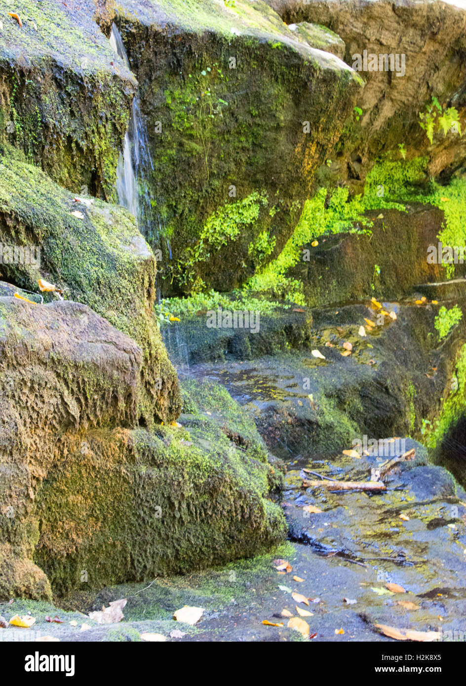 Dried out Waterfall Stock Photo - Alamy