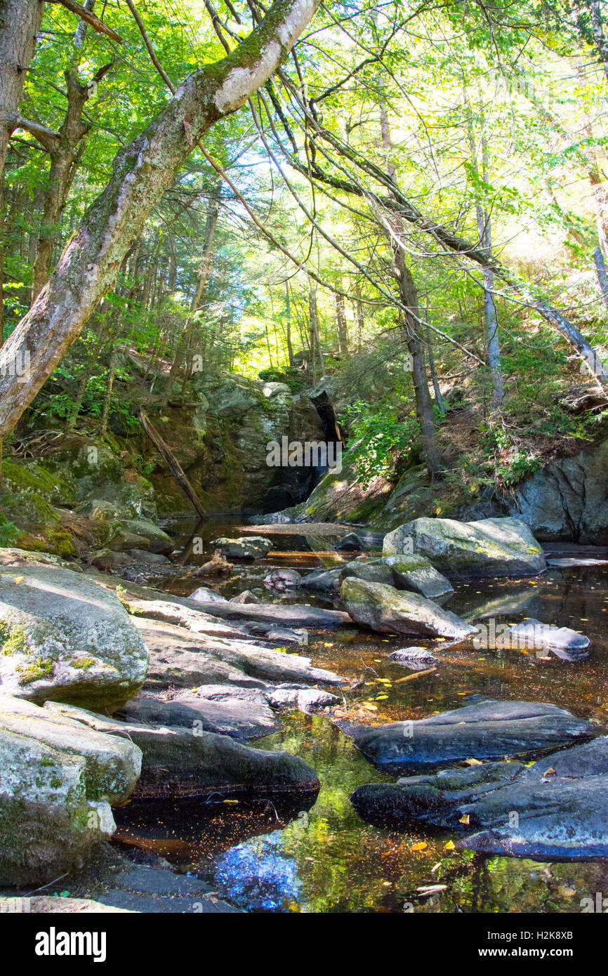 Water path in the Woods Stock Photo - Alamy