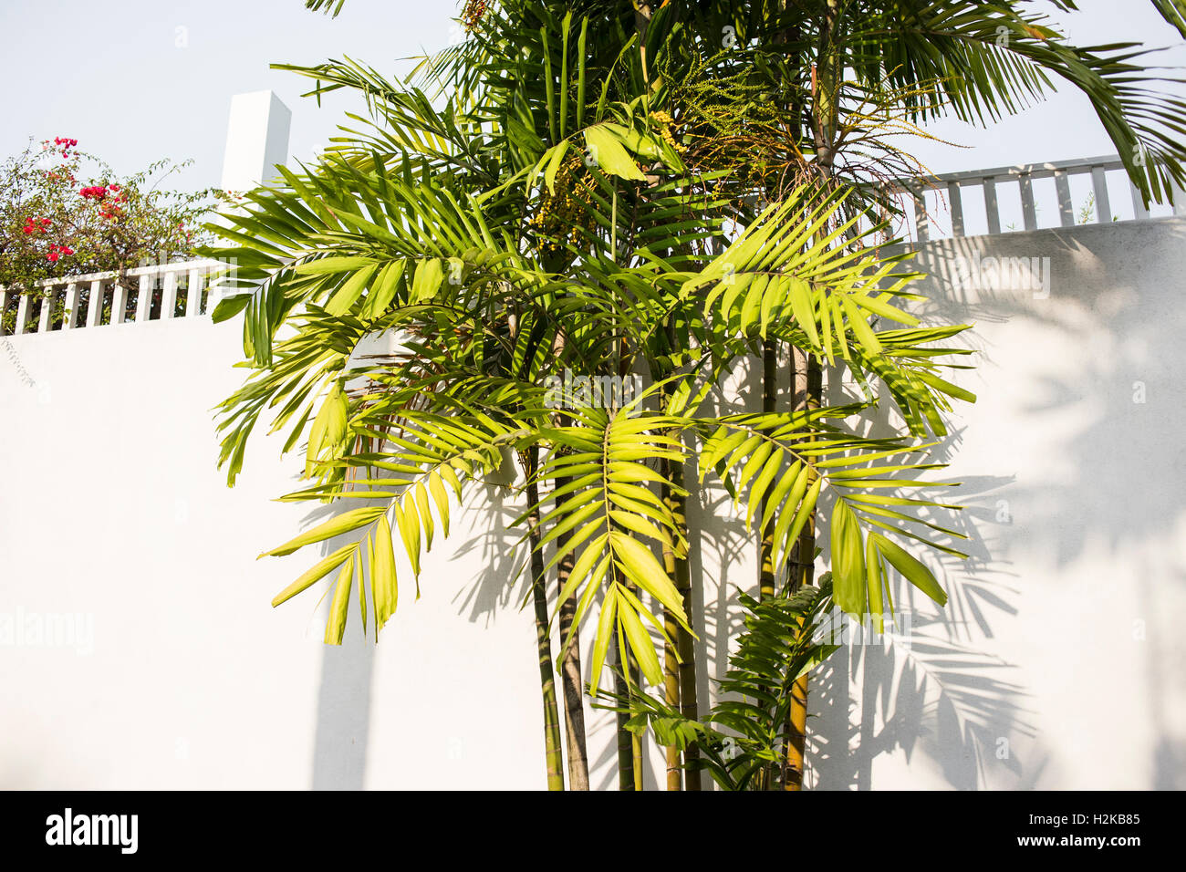Palm trees are seen outside a hotel in Colombo, Sri Lanka, on April 14 ...