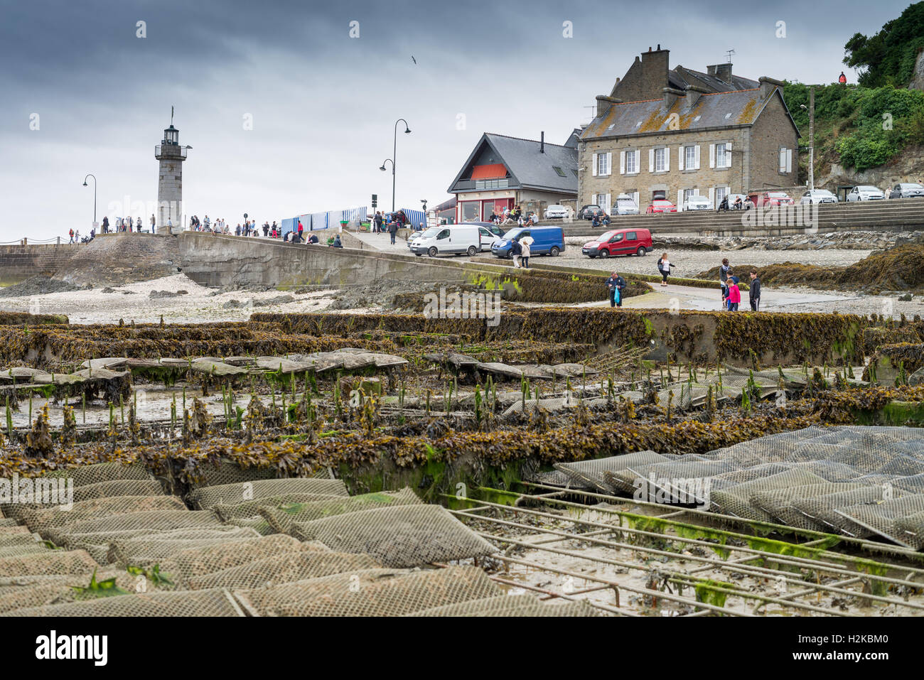Cancale coast oyster farms hi-res stock photography and images - Alamy