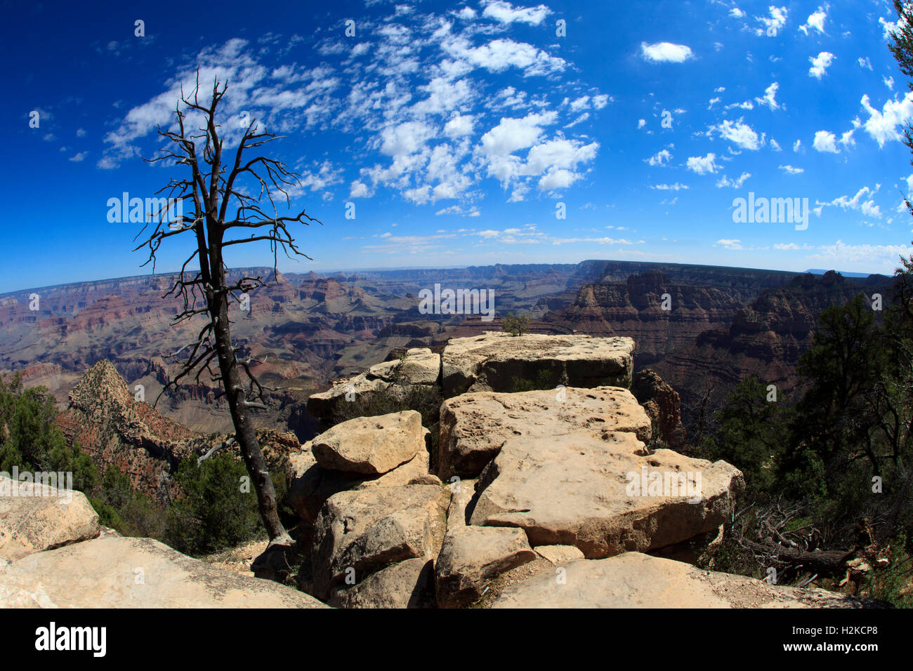 South Rim Grand Canyon, Arizona, USA Stock Photo - Alamy