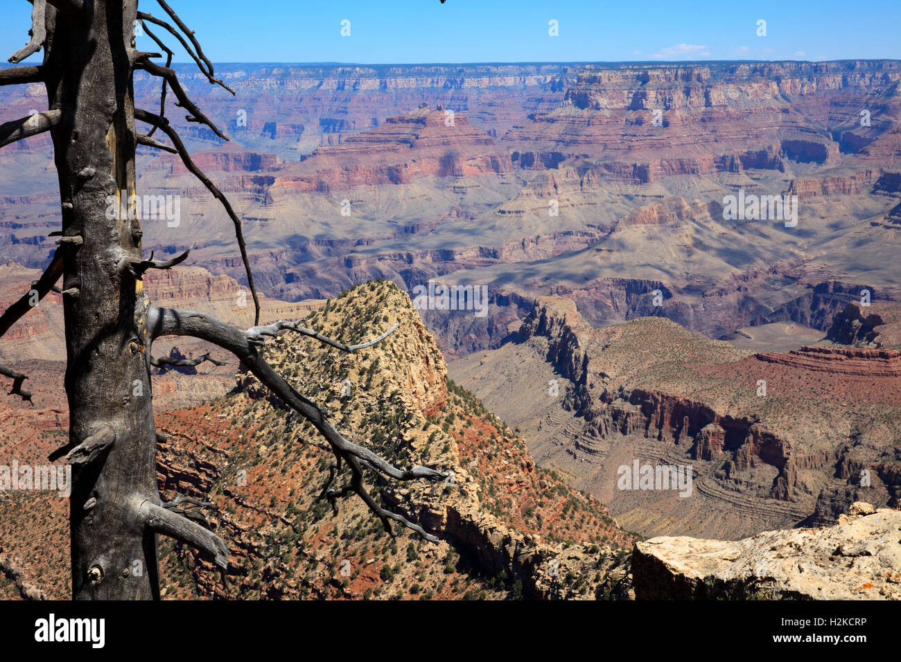 South Rim Grand Canyon, Arizona, USA Stock Photo - Alamy