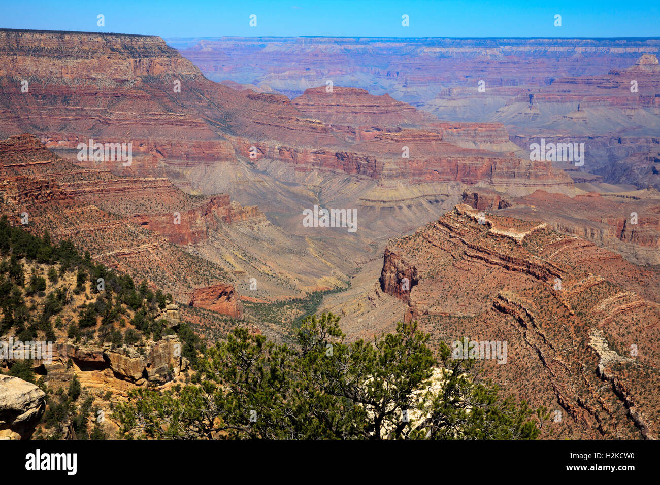 South Rim Grand Canyon, Arizona, USA Stock Photo - Alamy