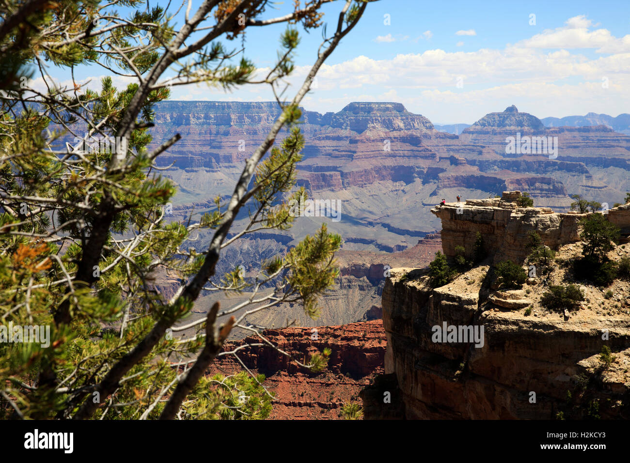 South Rim Grand Canyon, Arizona, USA Stock Photo - Alamy
