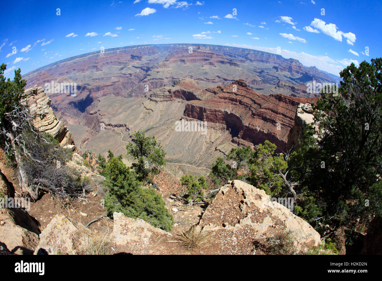 South Rim Grand Canyon, Arizona, USA Stock Photo - Alamy