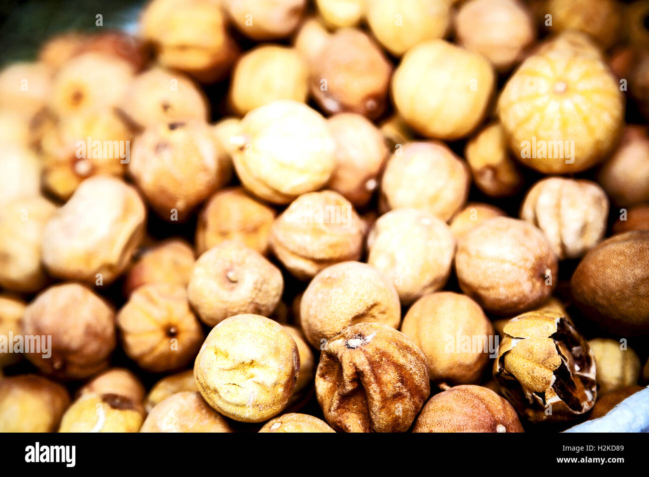 in iran blur typical dry lemon in abstract pattern background flavor ...