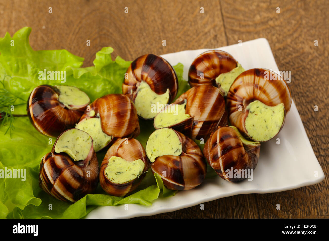Escargot with cheese cream on salad leaves Stock Photo - Alamy
