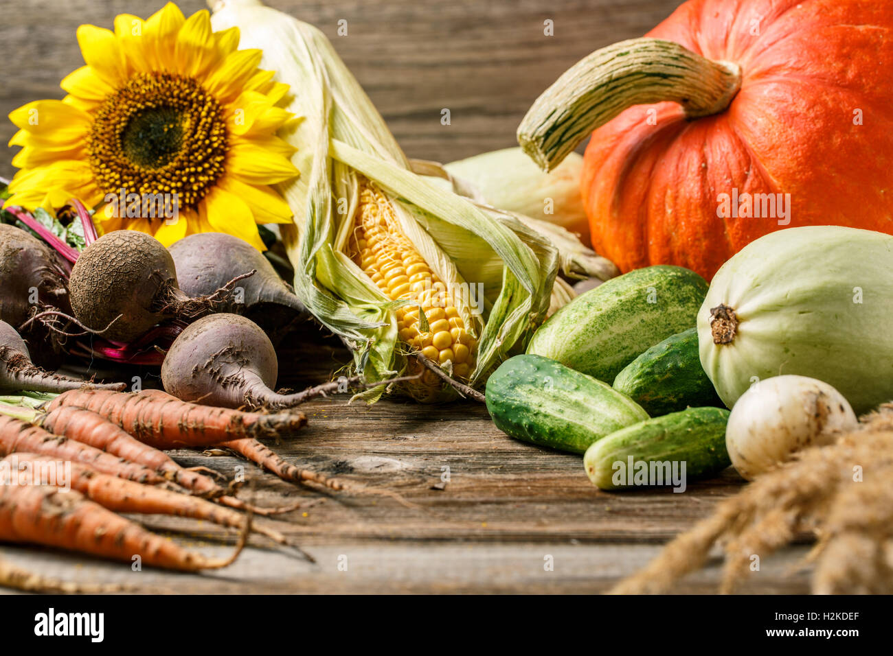 autumn harvest in rustic Stock Photo - Alamy