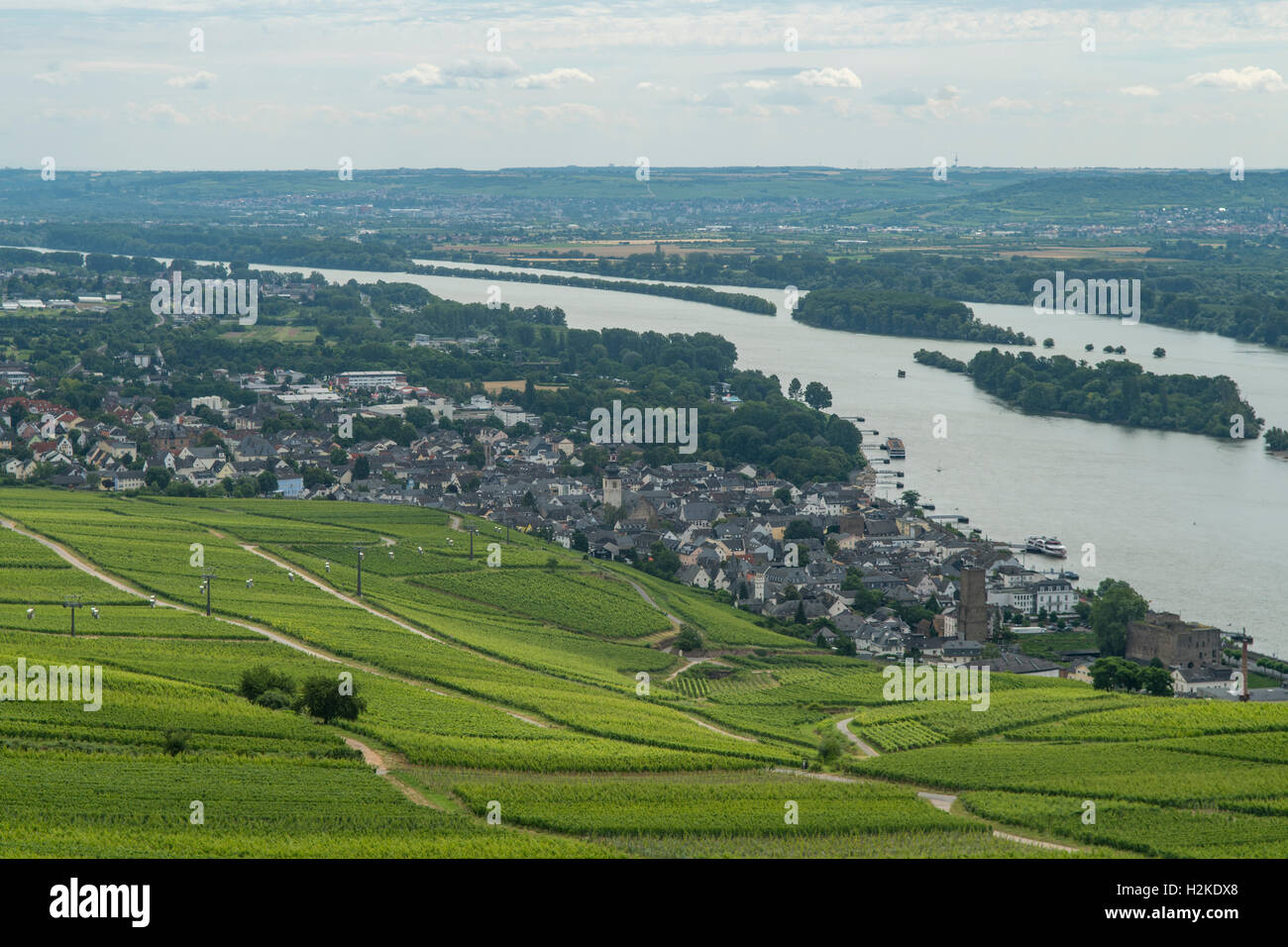 Rudesheim Rhineland Palatinate Germany Stock Photos & Rudesheim ...