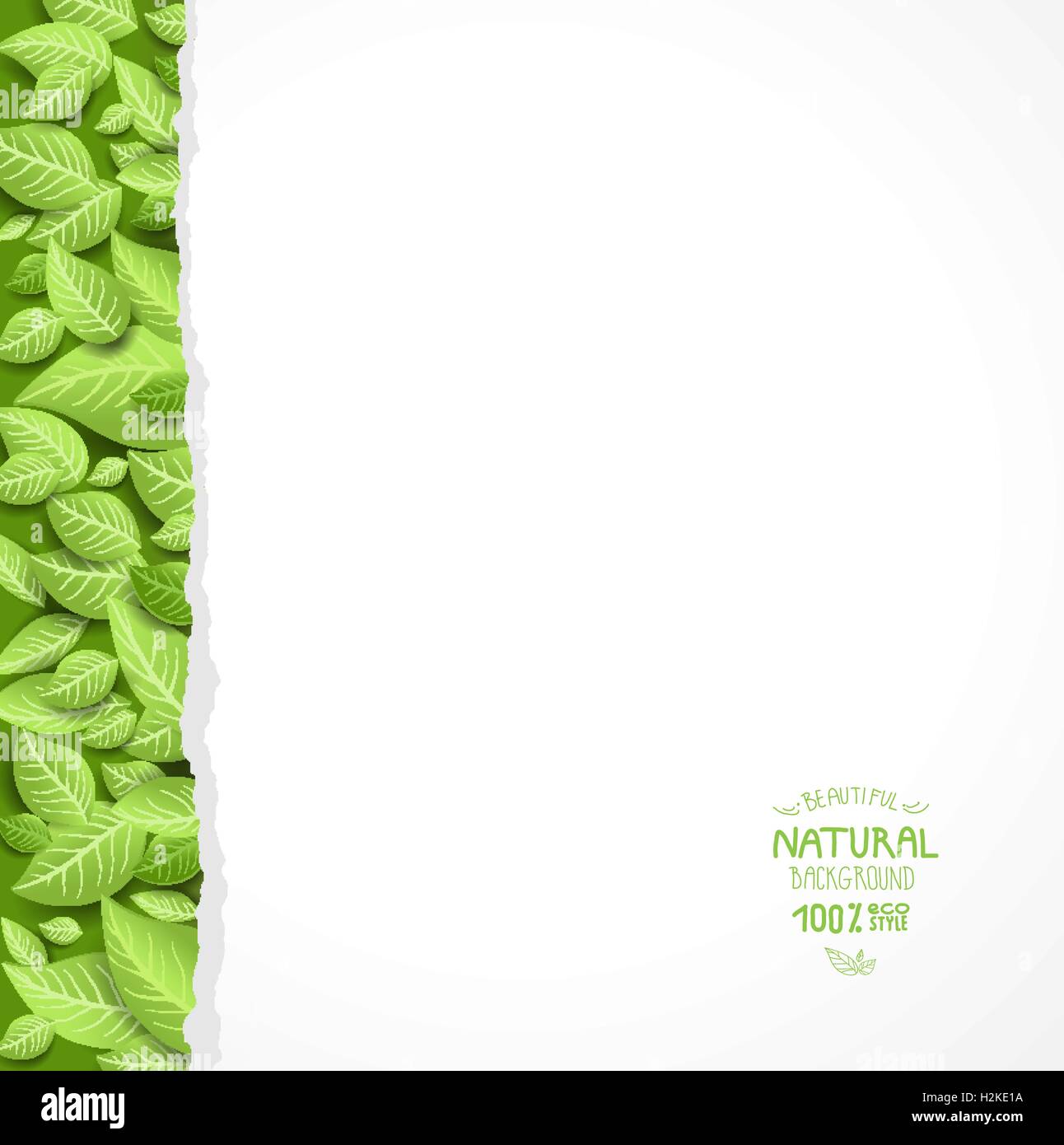 Sheet of paper background Stock Vector Images - Alamy