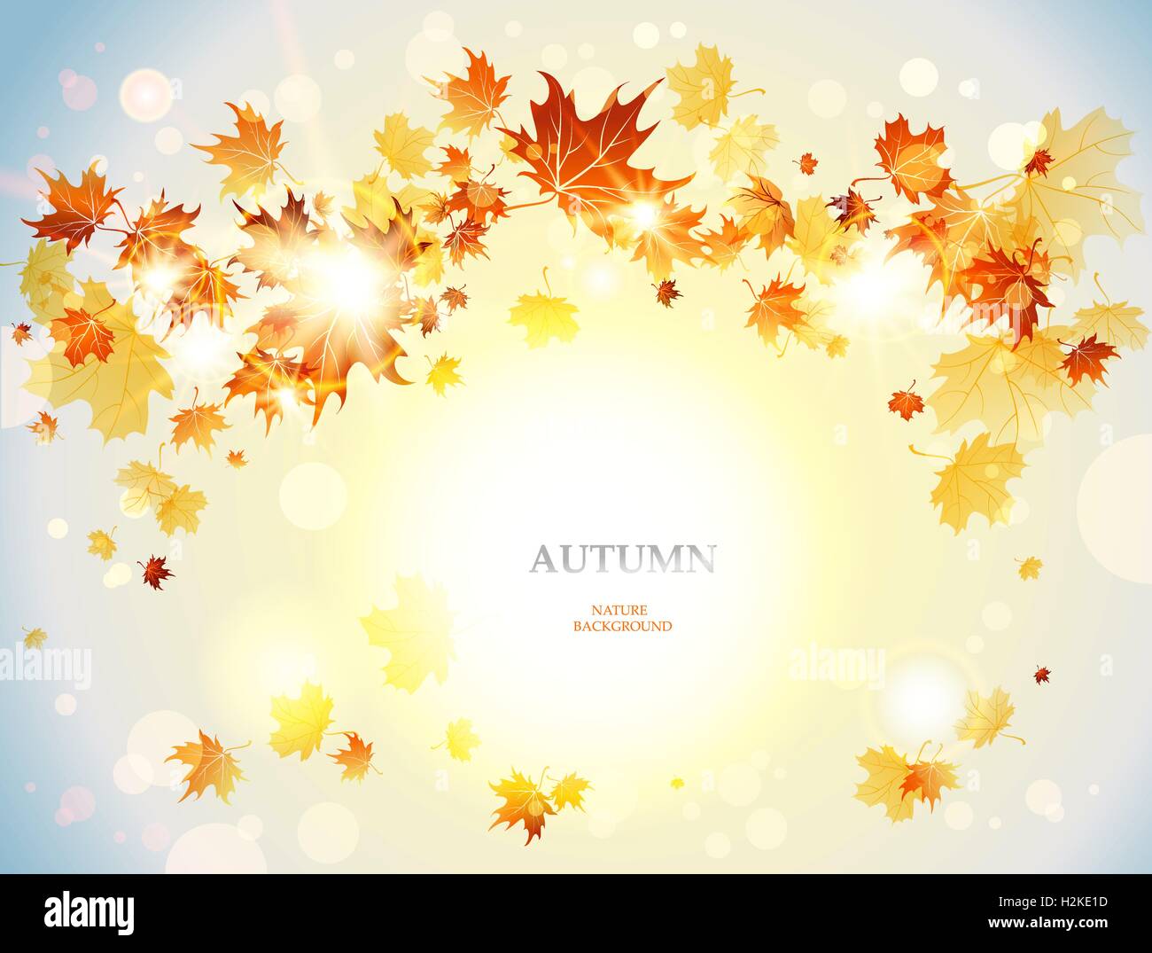 Positive background with autumn leaves Stock Vector Image & Art - Alamy