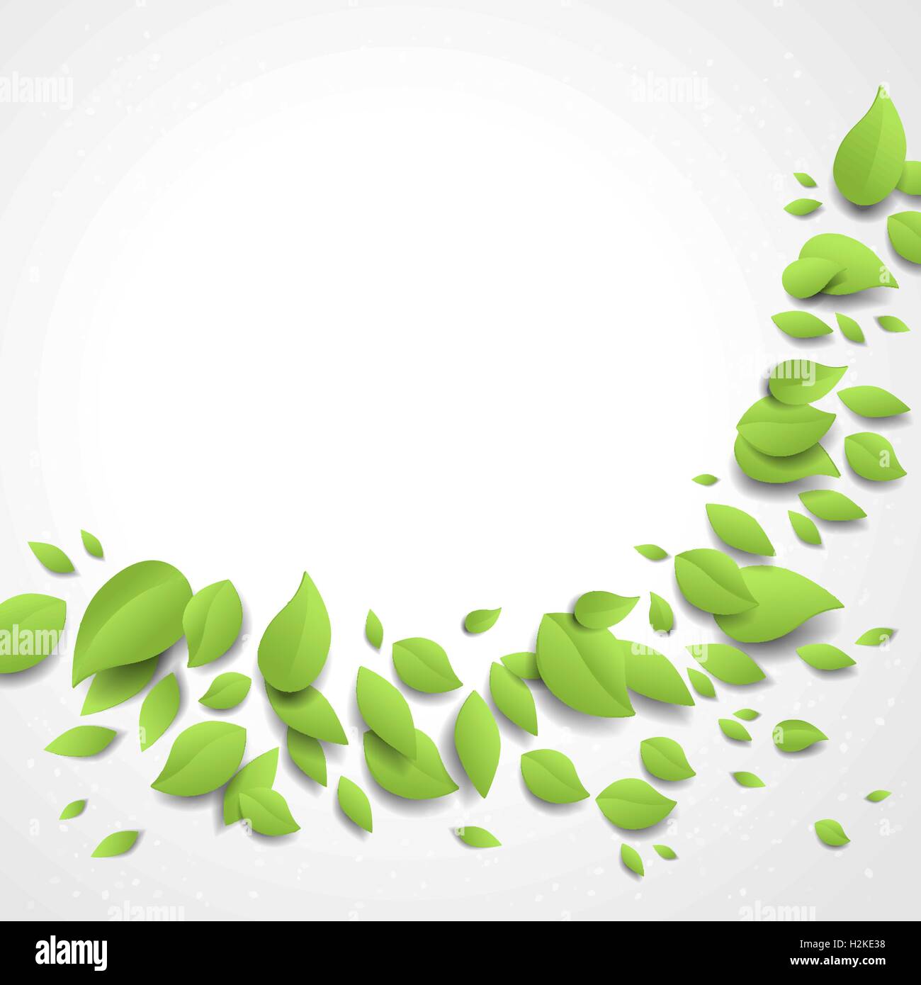Copy space leaves spring Stock Vector Images - Alamy