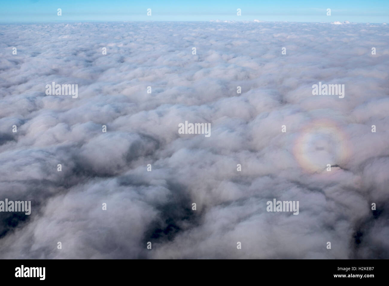 Glory, a natural phenomenon featuring circles of concentric colour ...