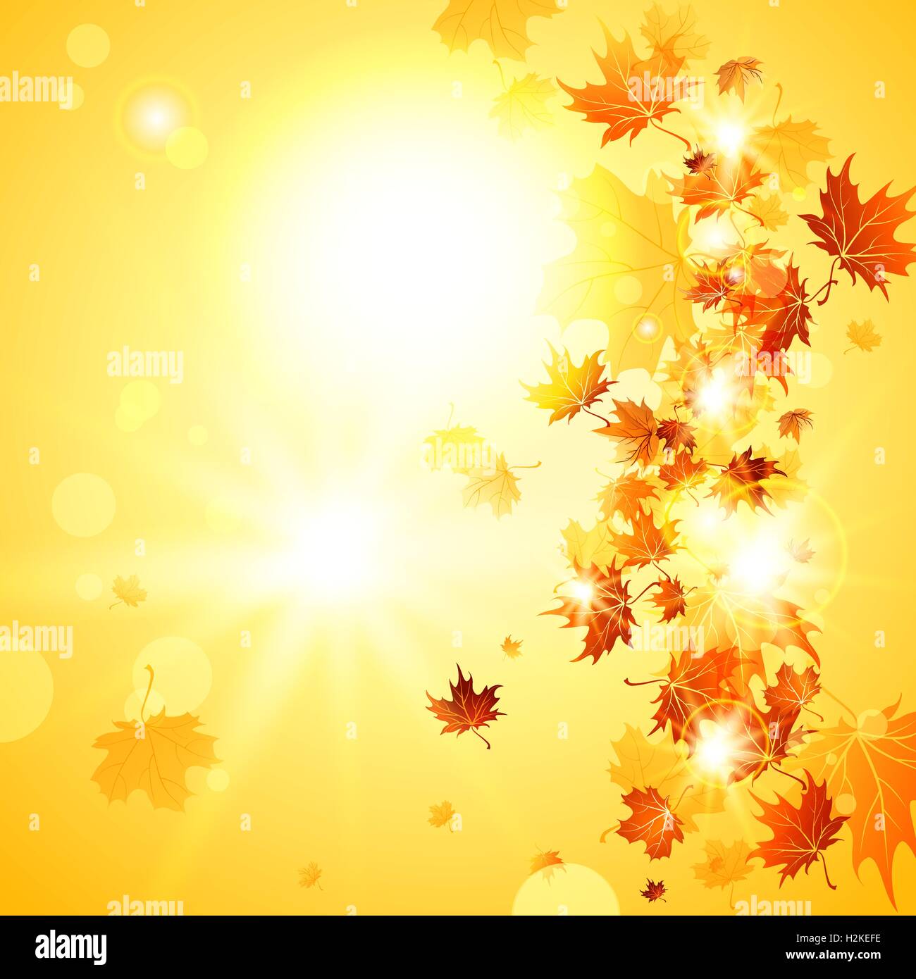 Beautiful leaves falling down motion hi-res stock photography and ...