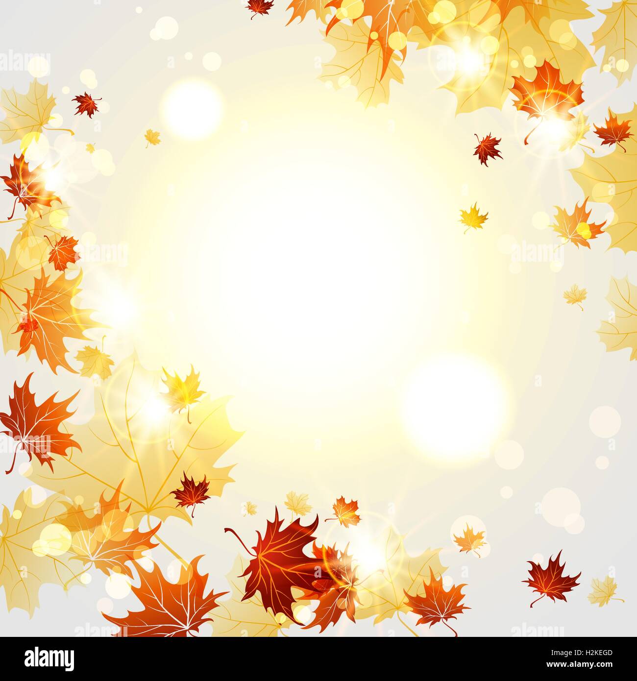 Bright autumn background with maple leaves Stock Vector Image & Art - Alamy