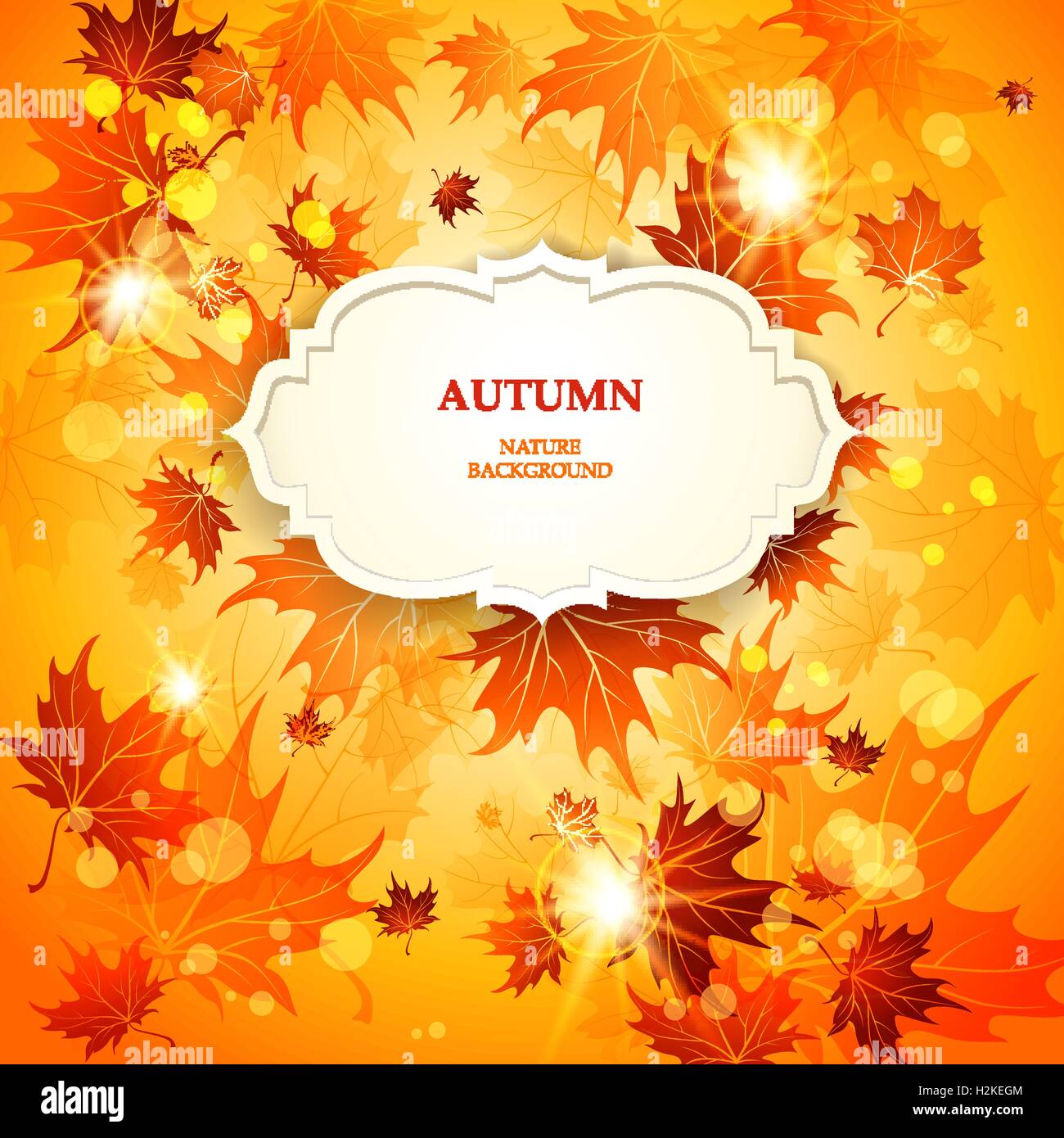Bright autumn background with maple leaves Stock Vector Image & Art - Alamy