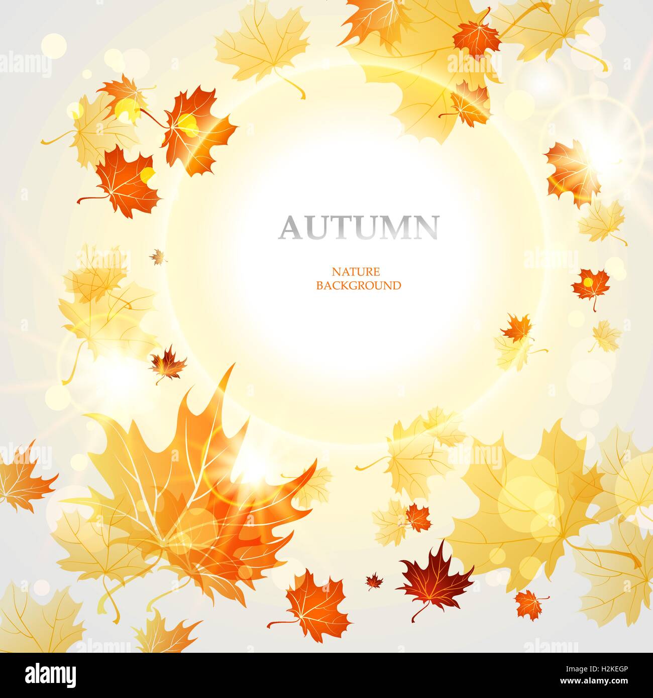 Bright autumn background Stock Vector Image & Art - Alamy