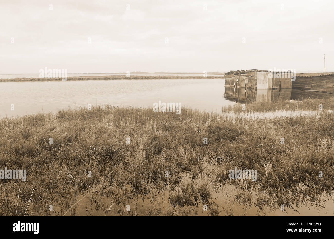 old shack in the swamp Stock Photo - Alamy