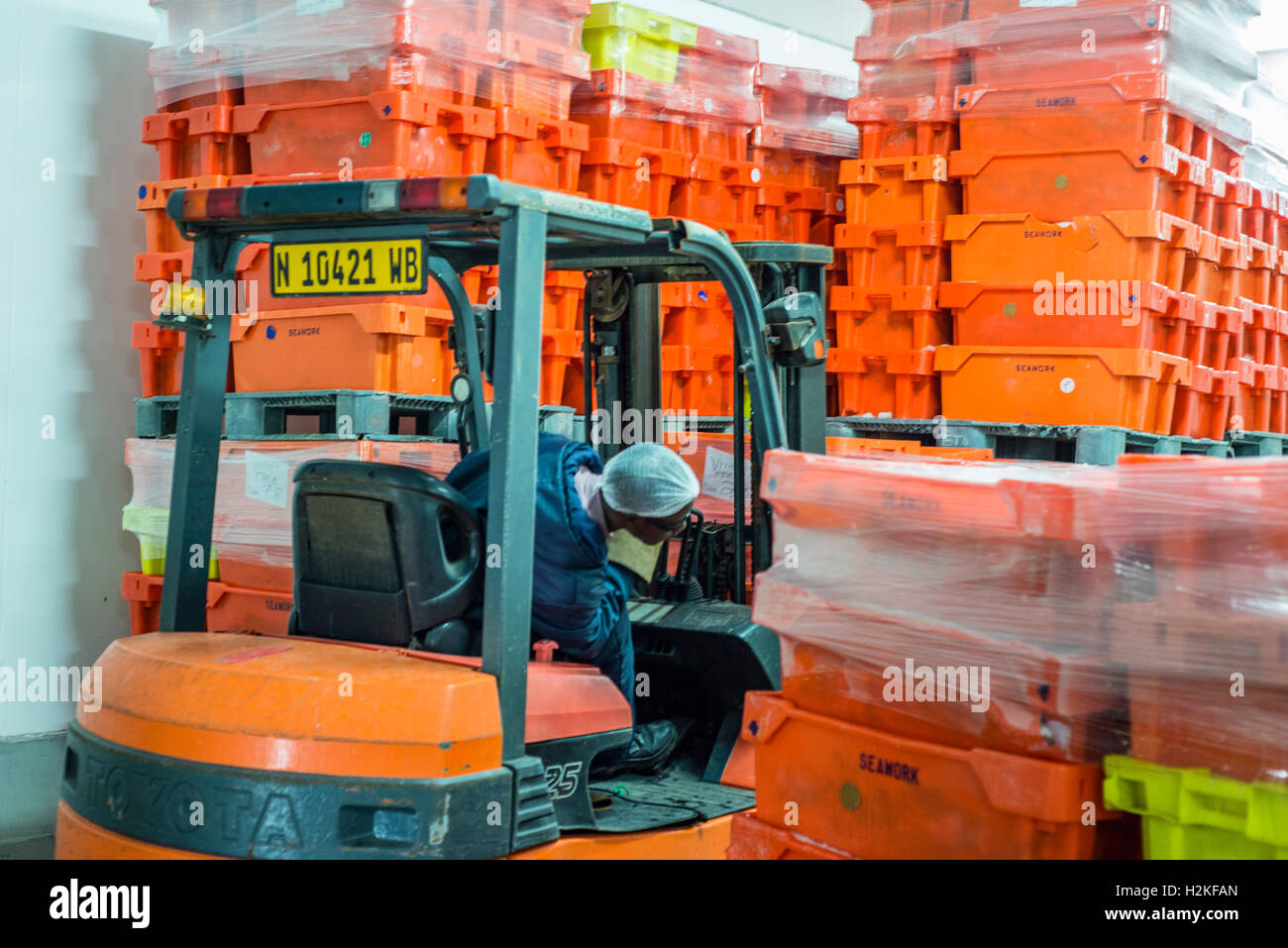 A worker of a fish processing factory transports containers with fish ...