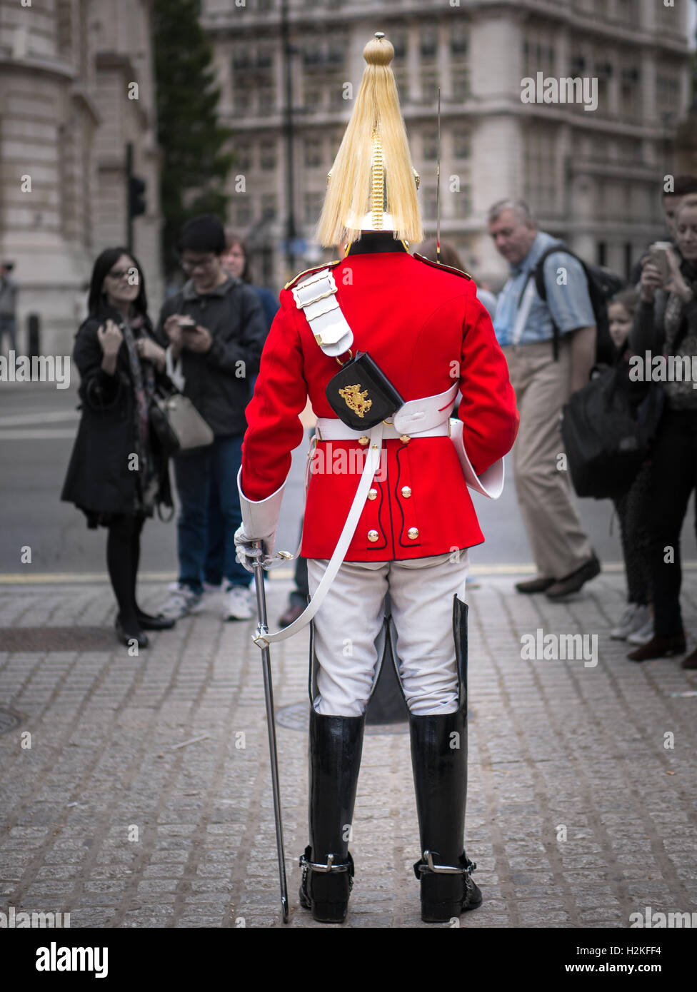 Life guard on duty at Whitehall, London, England Stock Photo - Alamy