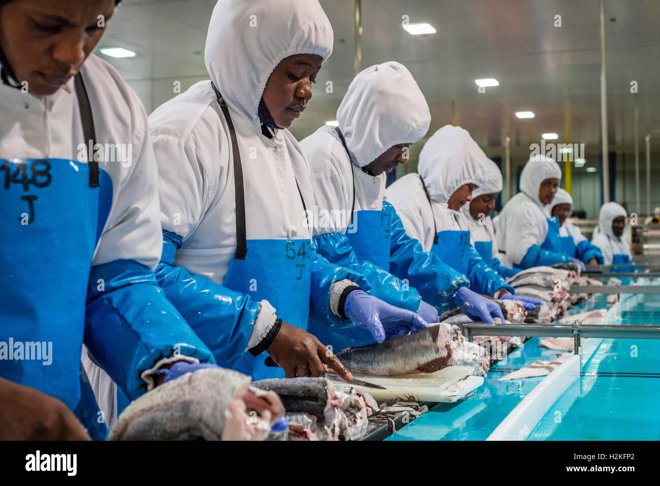 Fish factory africa hi-res stock photography and images - Alamy