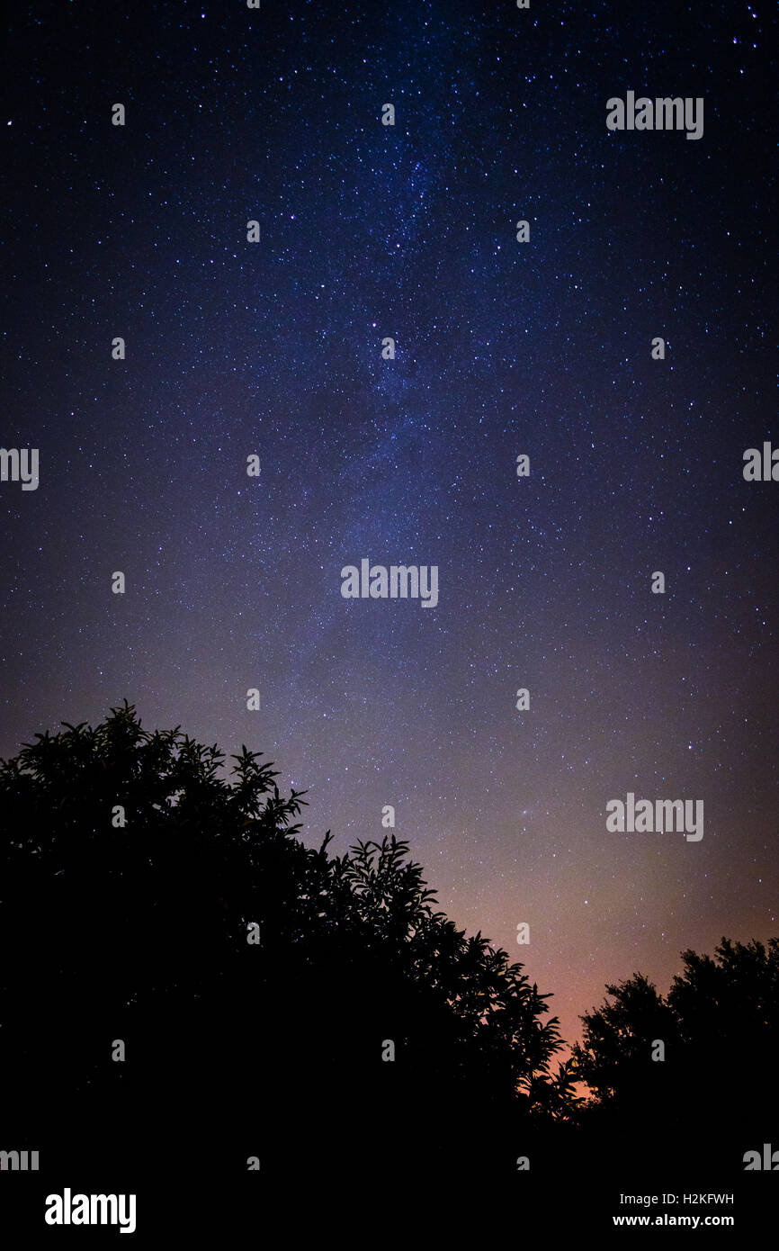 Milky way trees astrophotography hi-res stock photography and images ...