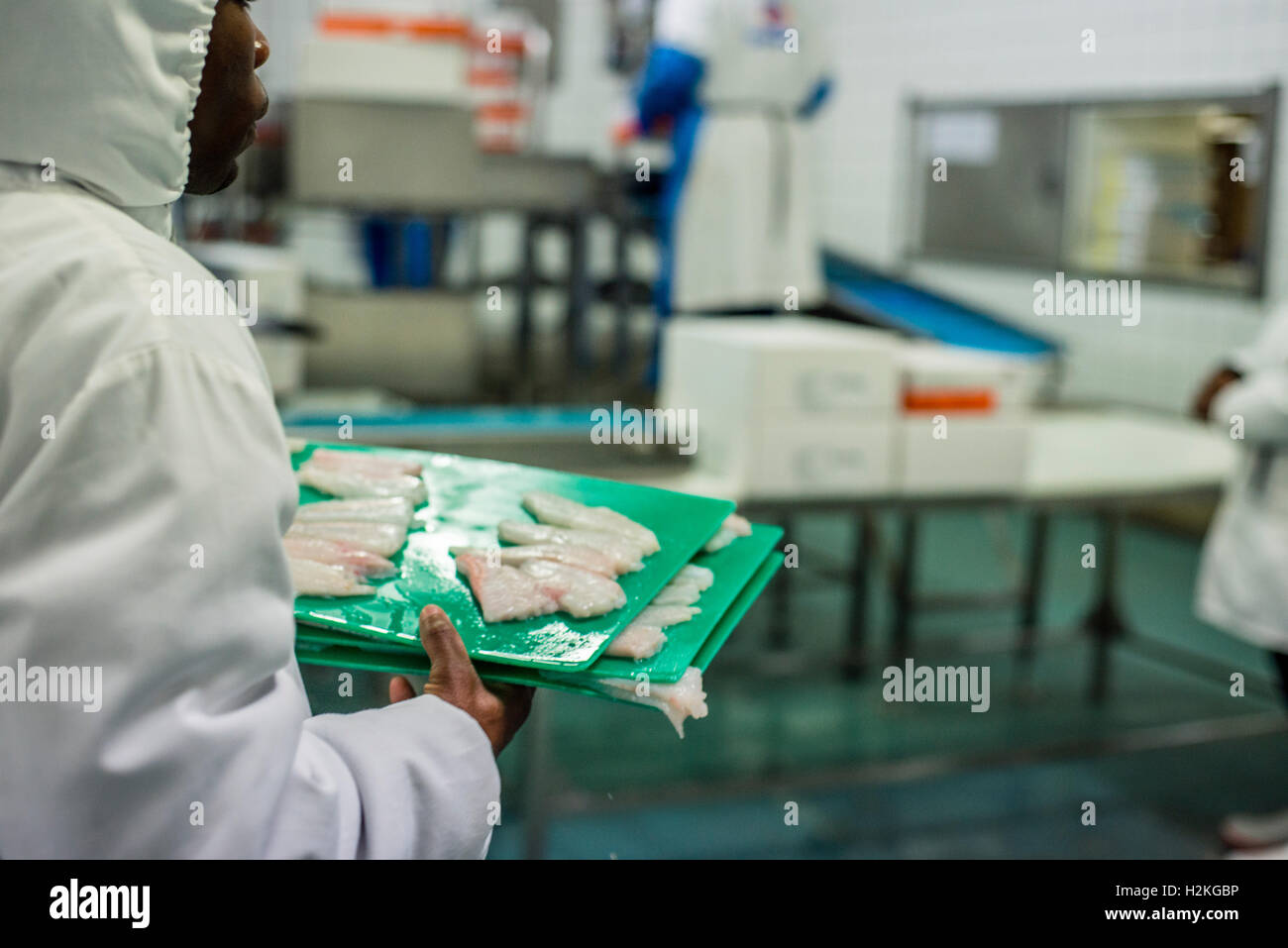Seafood processing australia hi-res stock photography and images - Alamy