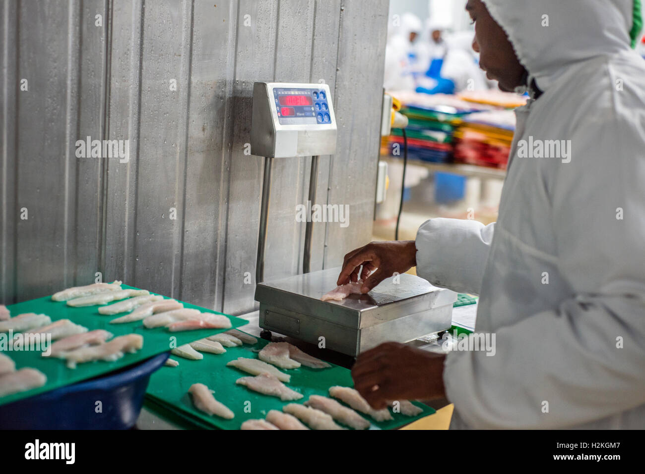Fish factory africa hi-res stock photography and images - Alamy