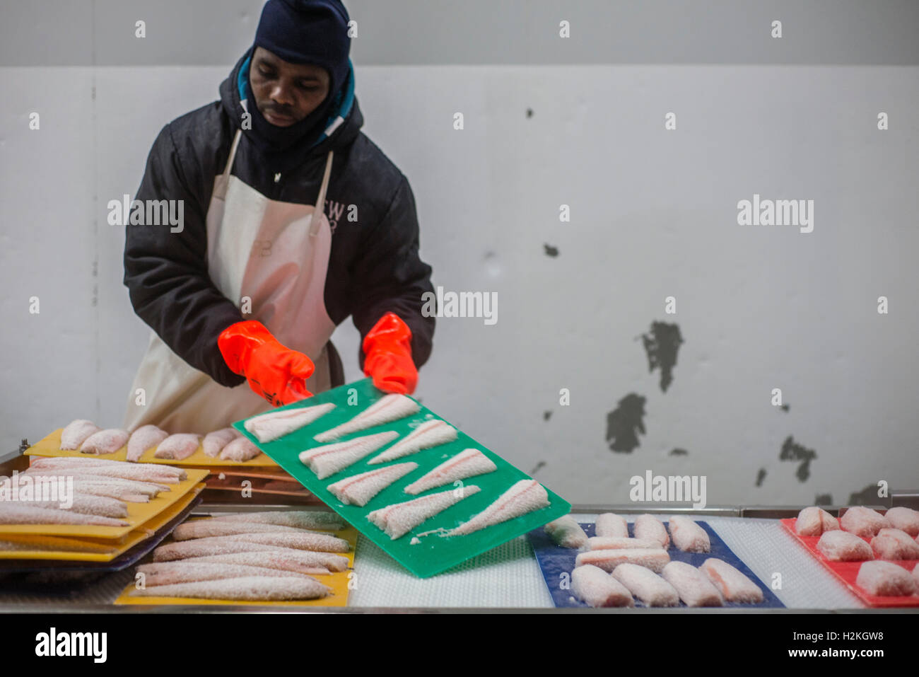 A worker of a fish processing factory prepares fish fillet for further ...
