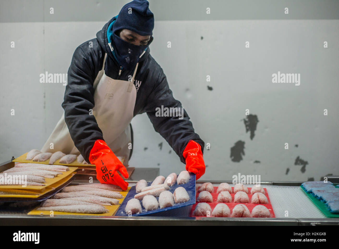 Frozen fish namibia hi-res stock photography and images - Alamy