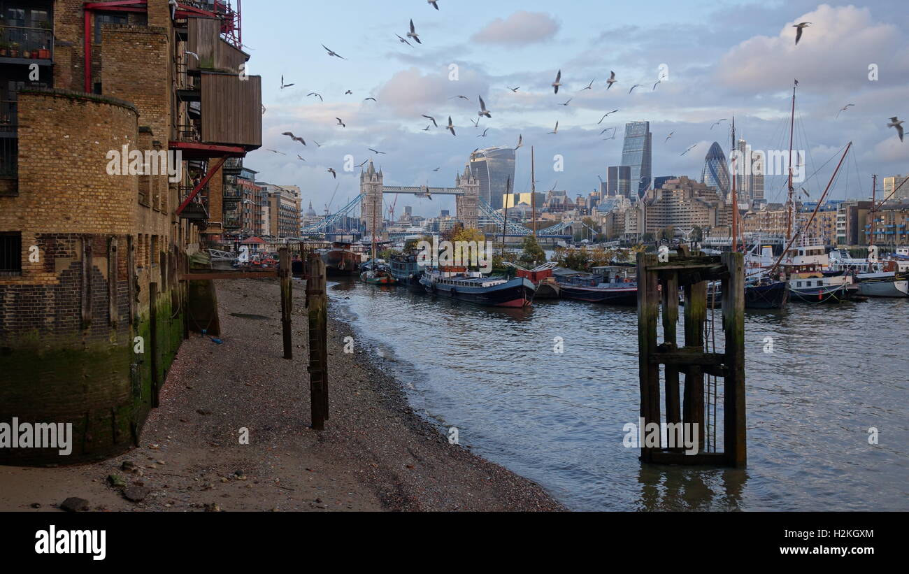 London skyline birds hi-res stock photography and images - Alamy