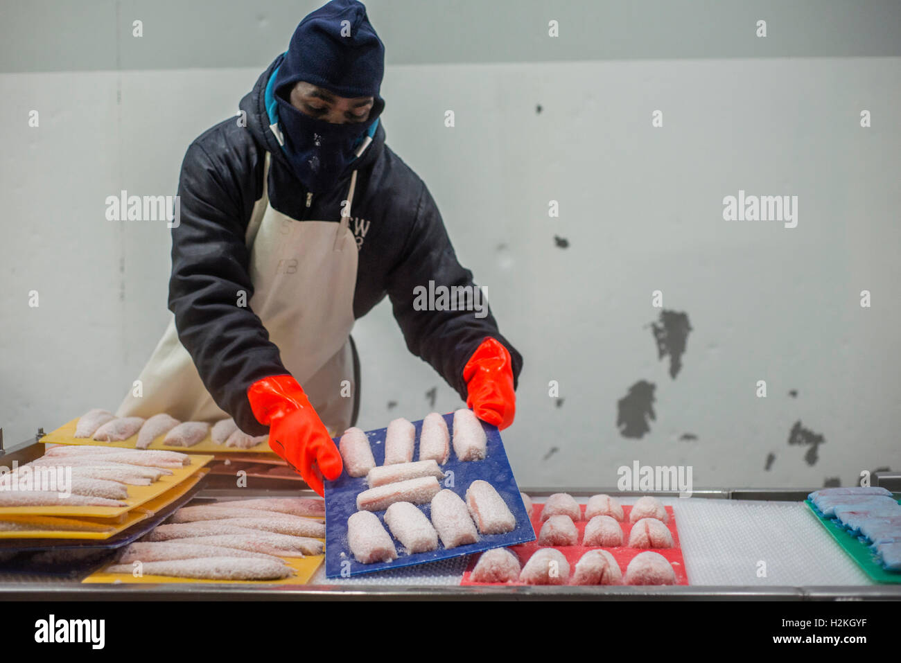 A worker of a fish processing factory prepares fish fillet for further ...